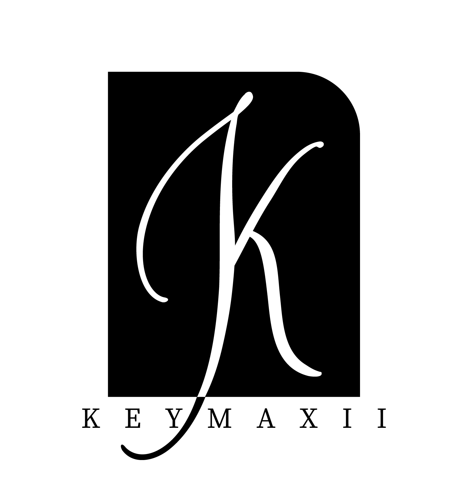 Products – KEYMAXII INC.